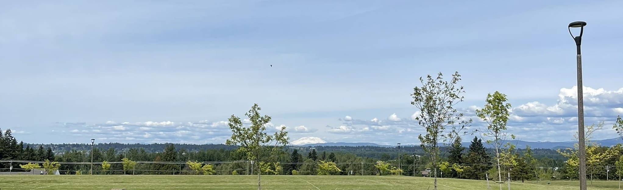 Cully Park Loop: 14 Reviews, Map - Oregon | AllTrails