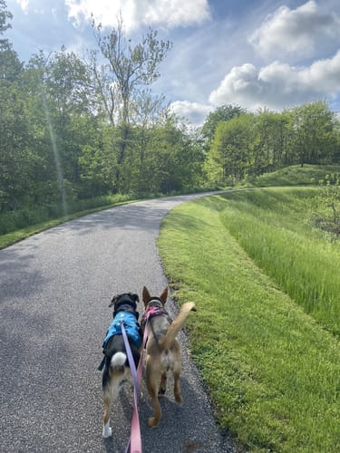 Best Hikes and Trails in SPIRE Institute | AllTrails