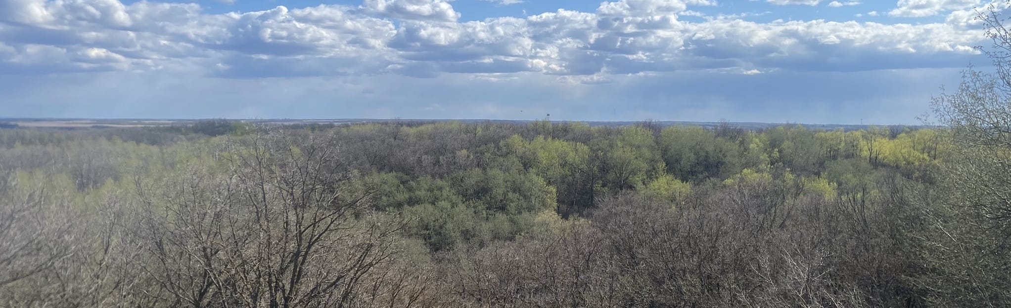 Fire Ant - Burning Bush Blister: 49 Reviews, Map - Manitoba, Canada ...