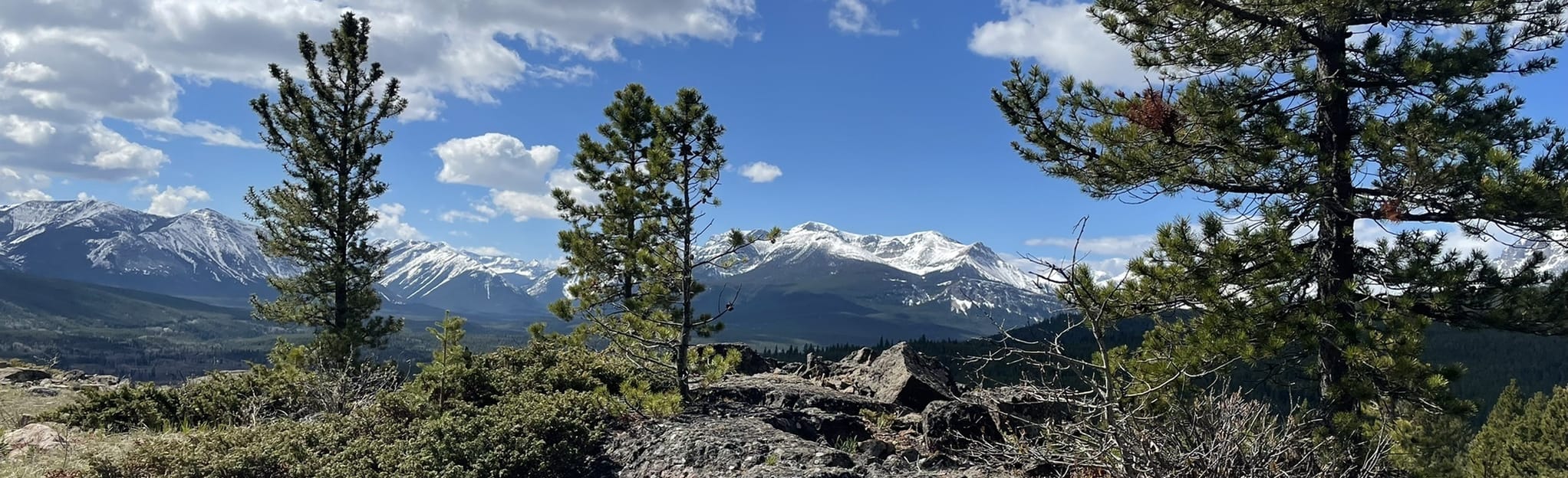 Carbondale Hill Lookout, Alberta, Canada - 156 Reviews, Map | AllTrails