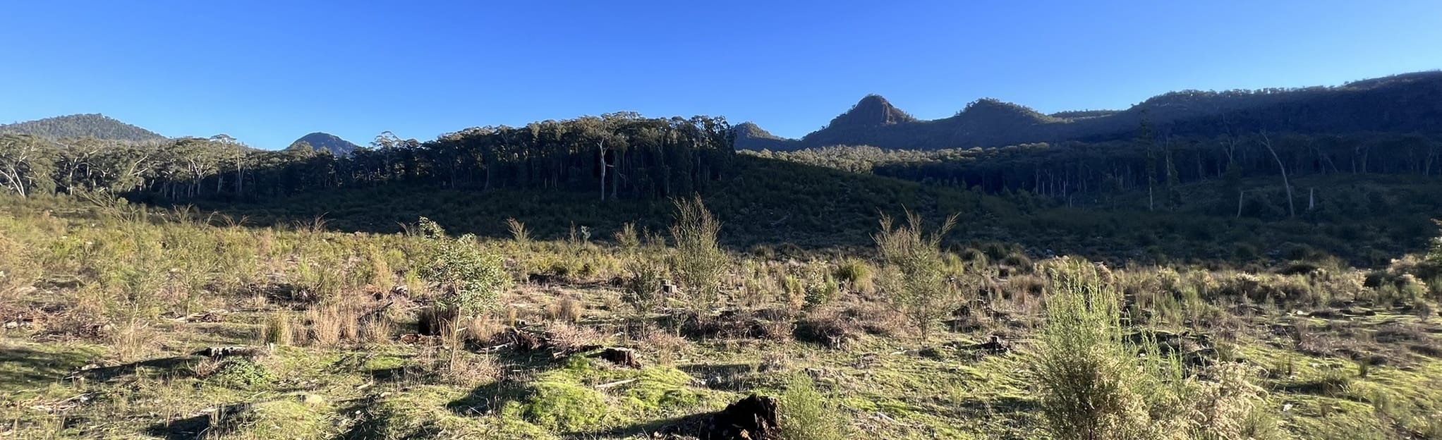 Cathedral Range Northern Circuit: 168 Reviews, Map - Victoria ...