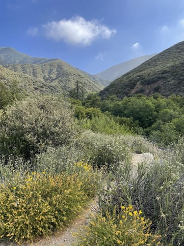 2023 Best 10 Trails and Hikes in Rancho Cucamonga | AllTrails