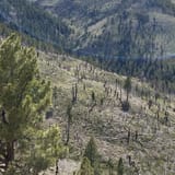 Hunter Lake Road, Nevada - 369 Reviews, Map | AllTrails