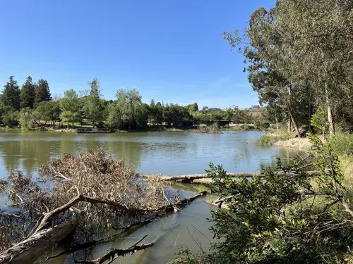 Best Hikes and Trails in Don Castro Regional Recreation Area | AllTrails