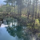Cedar Lake Trail, Oklahoma - 136 Reviews, Map | AllTrails