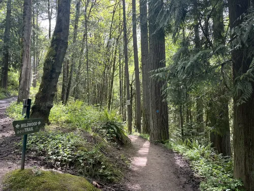 10 Best Trails and Hikes in Portland | AllTrails