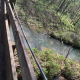 Cedar Lake Trail, Oklahoma - 136 Reviews, Map | AllTrails