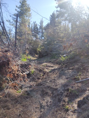 Bedste vandreture og ruter i Polipoli Spring State Recreation Area ...