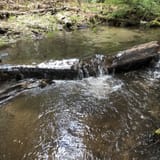 Upper Priest Lake Navigation Trail, Idaho - 181 Reviews, Map | AllTrails