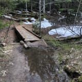 Upper Priest Lake Navigation Trail, Idaho - 181 Reviews, Map | AllTrails