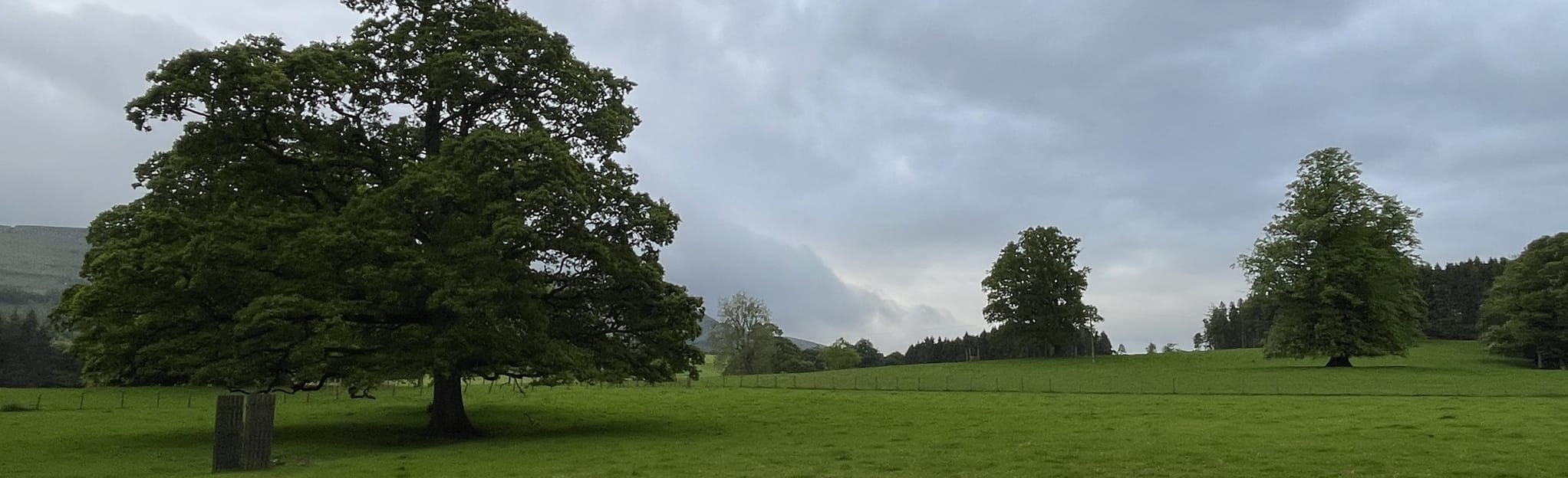 Gargunnock Military Road, Stirling, Scotland - Map, Guide | AllTrails