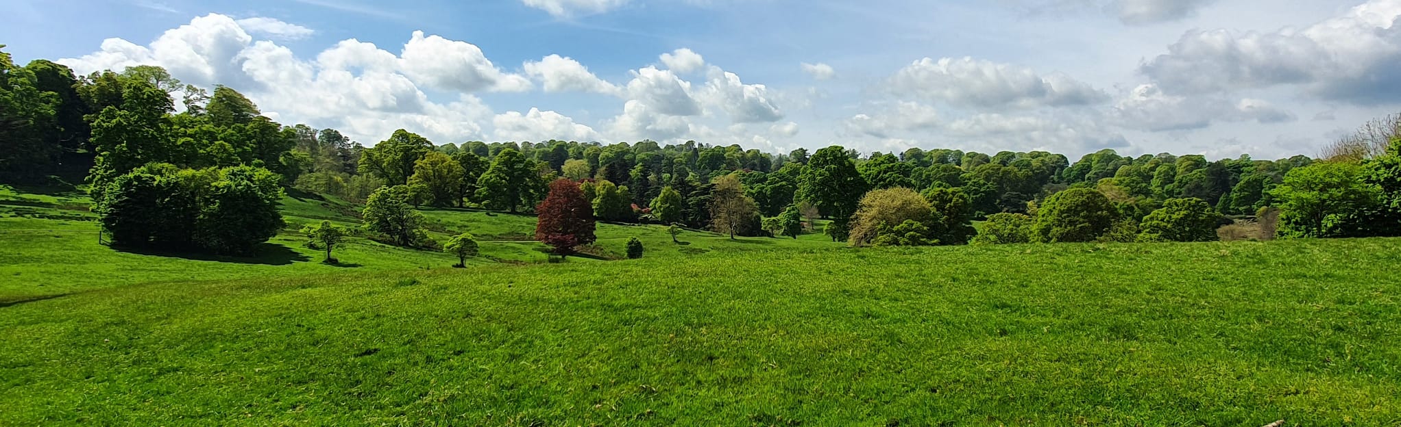 Evershot Circular | Map, Guide - Dorset, England | AllTrails