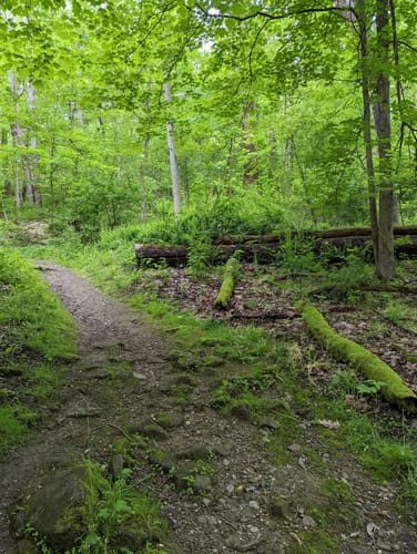 Best Hikes and Trails in Deep Lock Quarry Metro Park | AllTrails