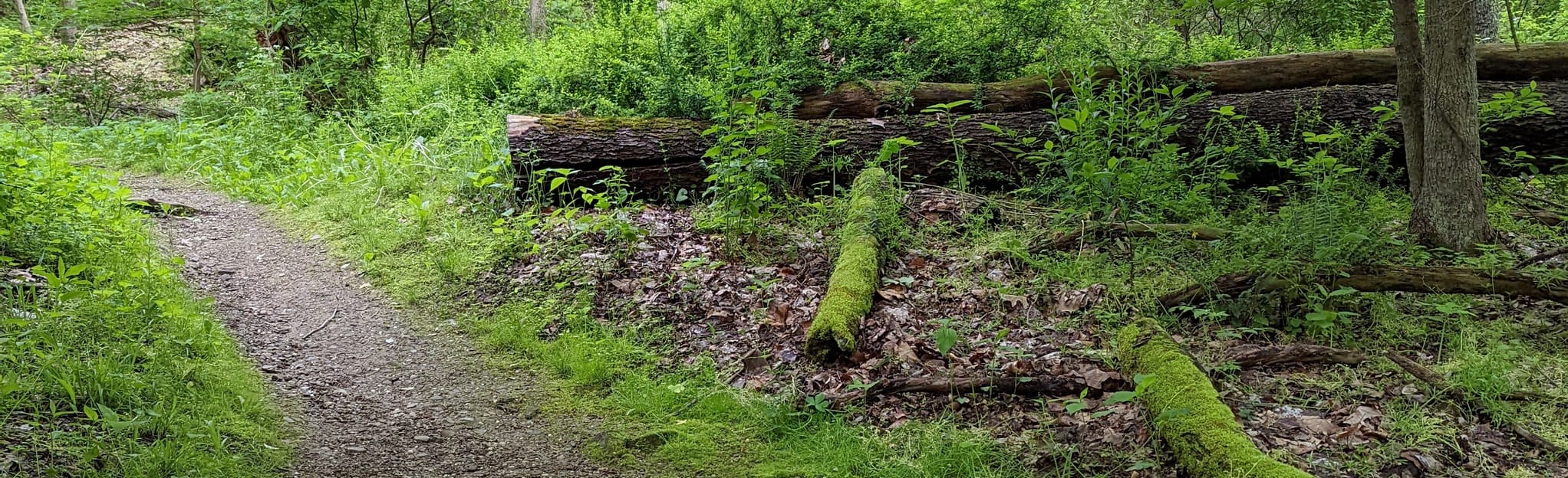 Deep Lock Quarry Trail: 898 Reviews, Map - Ohio | AllTrails