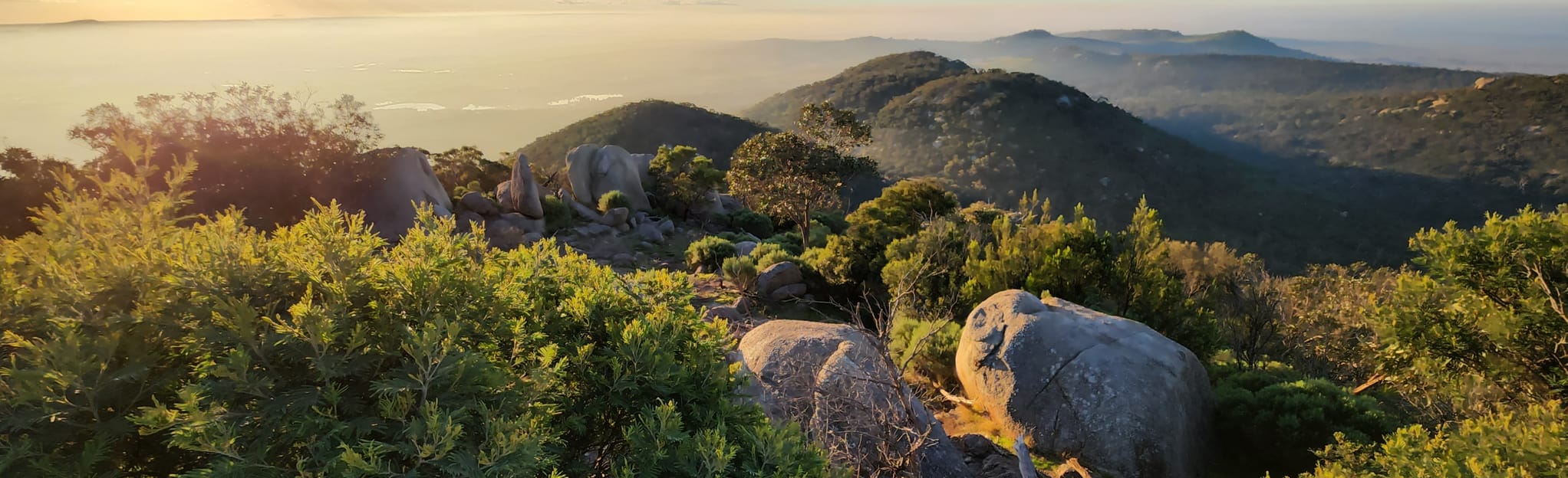 Flinders Peak Walk: 508 foto's - Victoria, Australia | AllTrails
