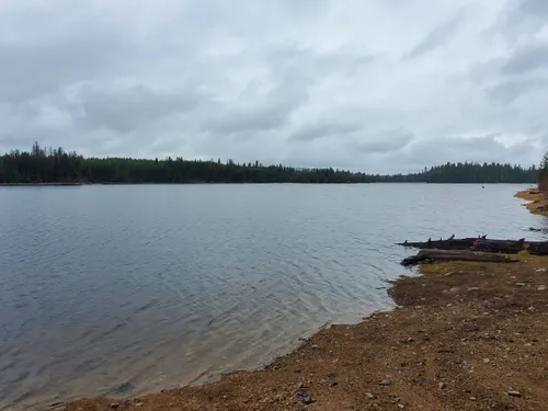 Best Hikes and Trails in McCulloch Reservoir Receaction Site | AllTrails