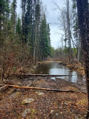 Best Hikes and Trails in McCulloch Reservoir Receaction Site | AllTrails