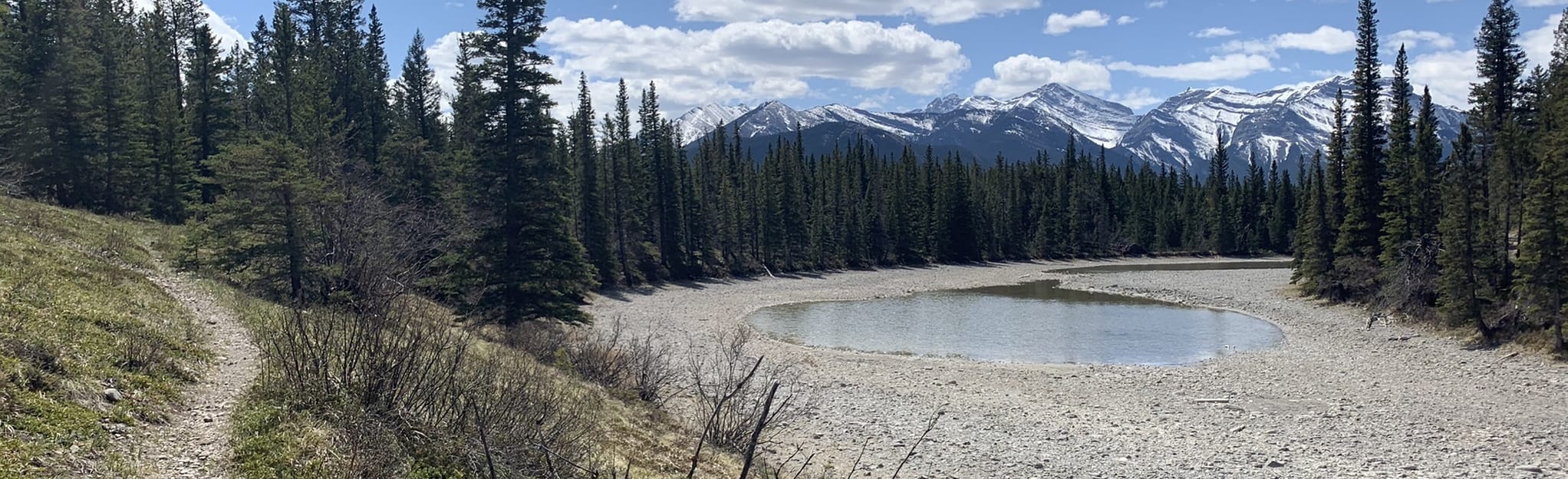 Yamnuska Natural Area: The Big Douglas Fir, Alberta, Canada - 20 ...
