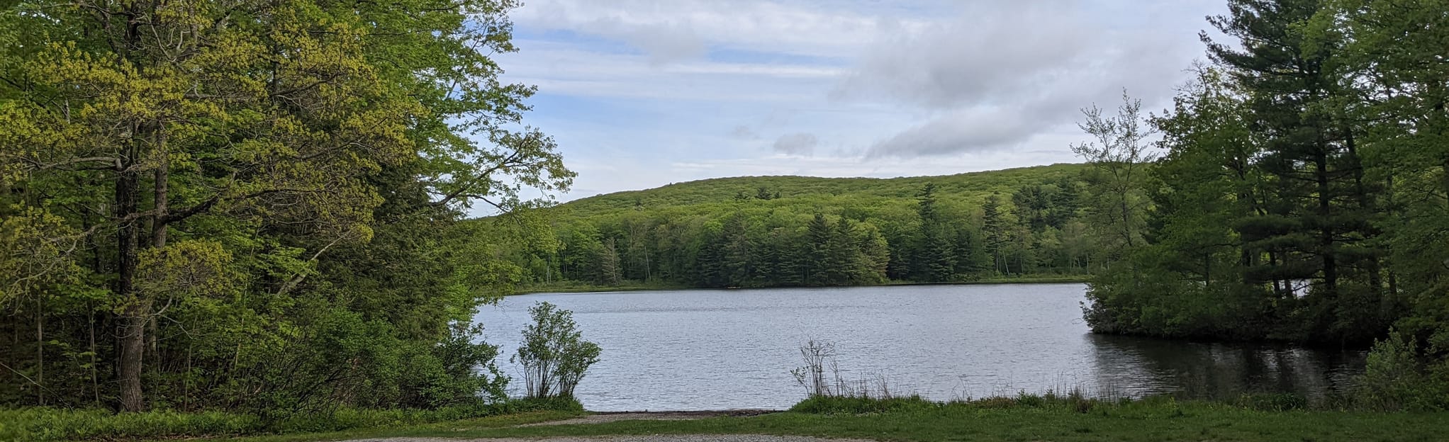 Benedict Pond and The Ledges : 543 foto's - Massachusetts | AllTrails