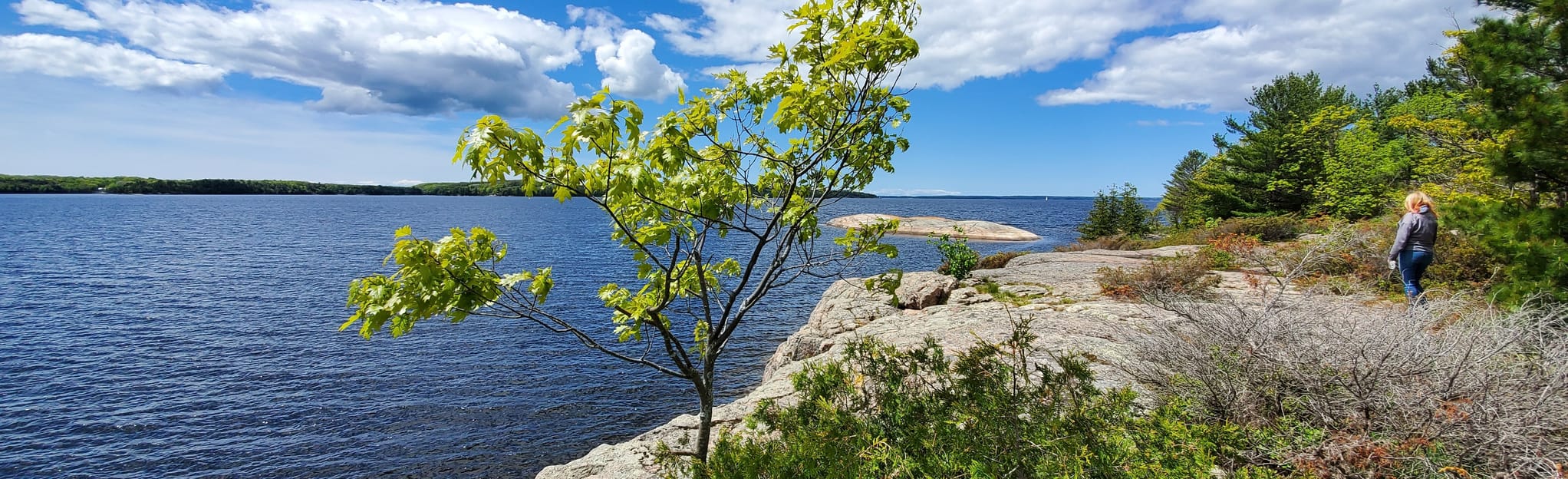 Rugged Trail, Ontario, Canada - 181 Reviews, Map | AllTrails