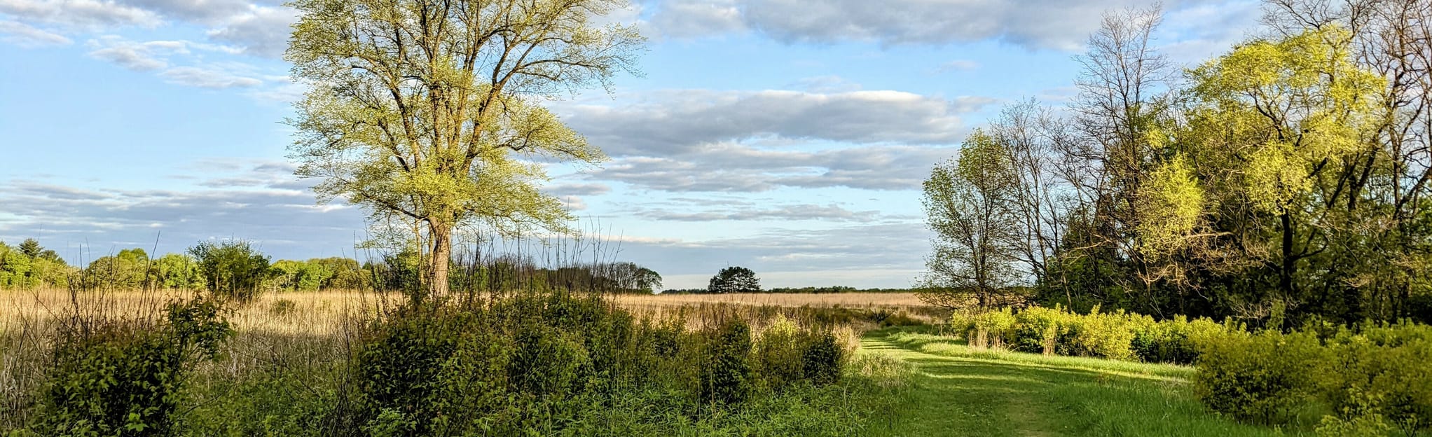 Belwin Conservancy Loop, Minnesota - 156 Reviews, Map | AllTrails