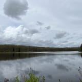 Thunder Swamp Trail, Pennsylvania - 51 Reviews, Map | AllTrails