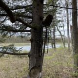 Thunder Swamp Trail, Pennsylvania - 48 Reviews, Map | AllTrails