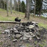 Thunder Swamp Trail, Pennsylvania - 48 Reviews, Map | AllTrails
