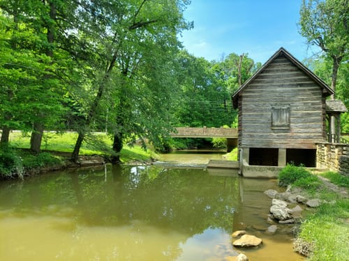 Are Dogs Allowed At Levi Jackson State Park