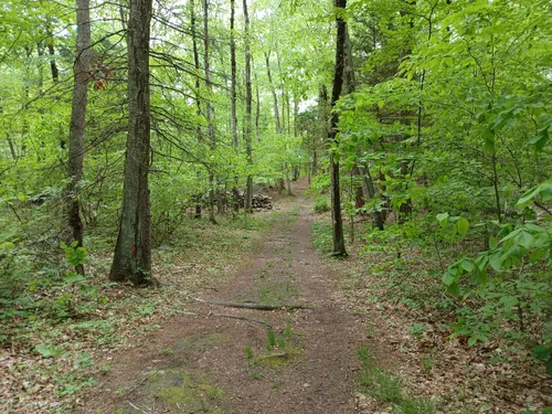 Best Hikes and Trails in Fall River | AllTrails