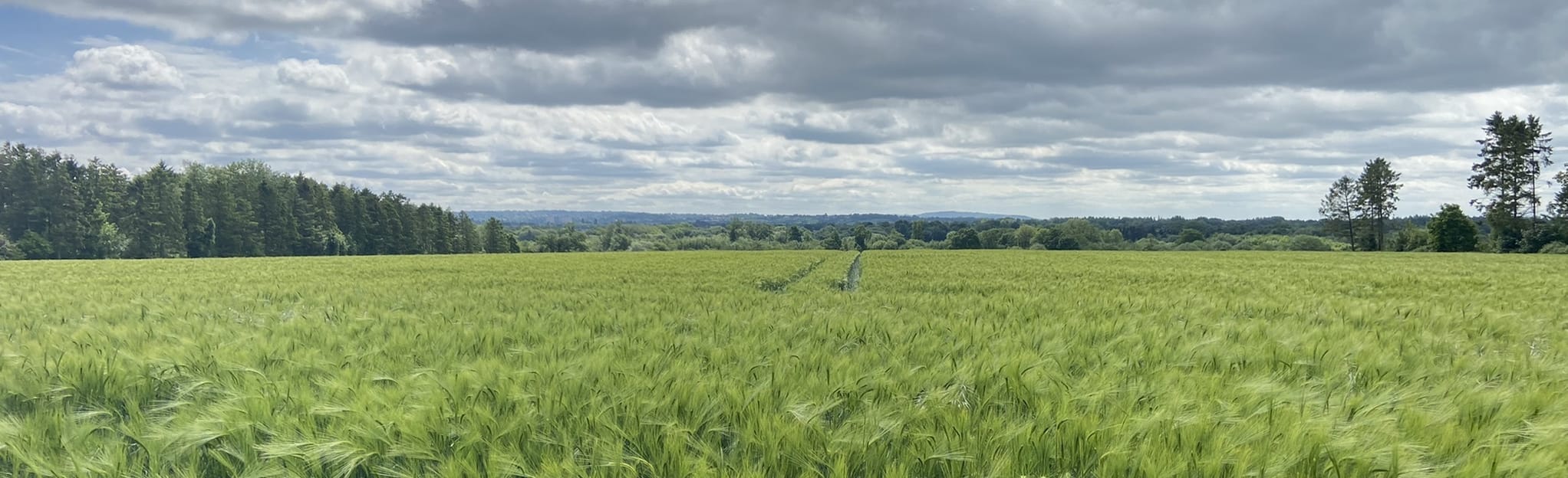 River Penk - Great Moor Circular: 10 Reviews, Map - West Midlands ...