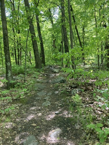 Best Hikes and Trails in Perkins Farm Conservation Area | AllTrails