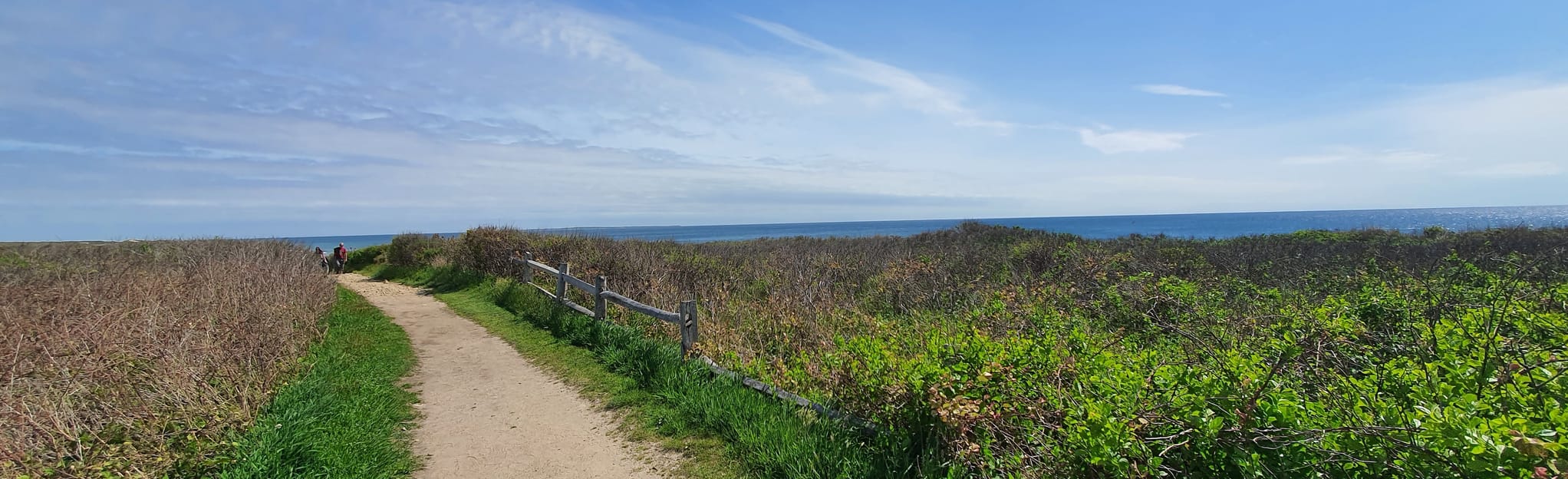 Moshup Beach Trail, Massachusetts - 69 Reviews, Map | AllTrails