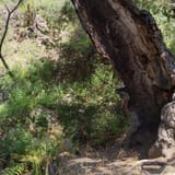 Tenaja Canyon via Tenaja Trail, California - 213 Reviews, Map | AllTrails