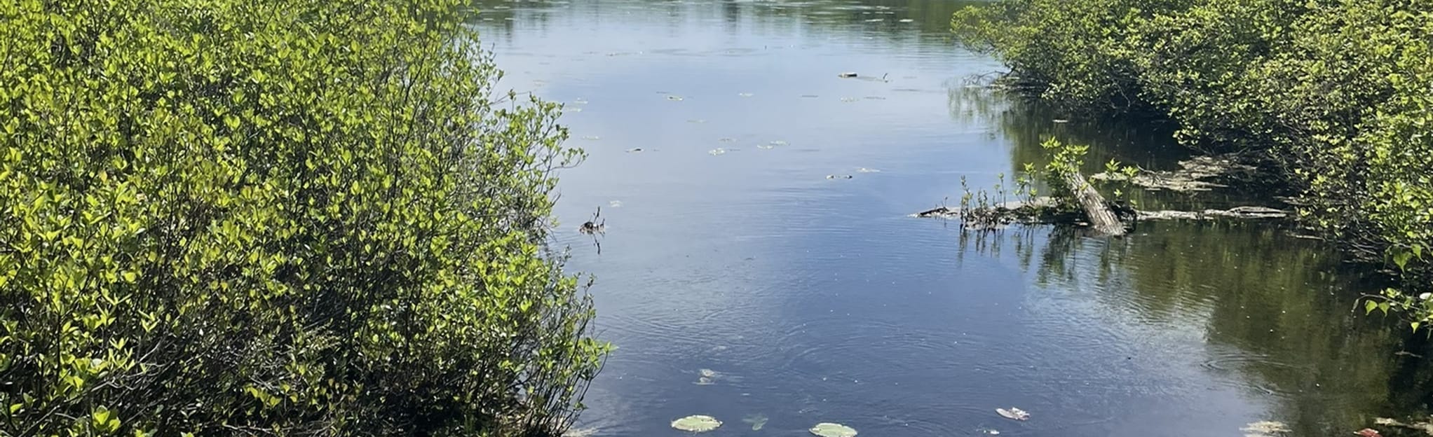 Terrace Pond and Bearfort Mountain, New Jersey - 124 Reviews, Map ...