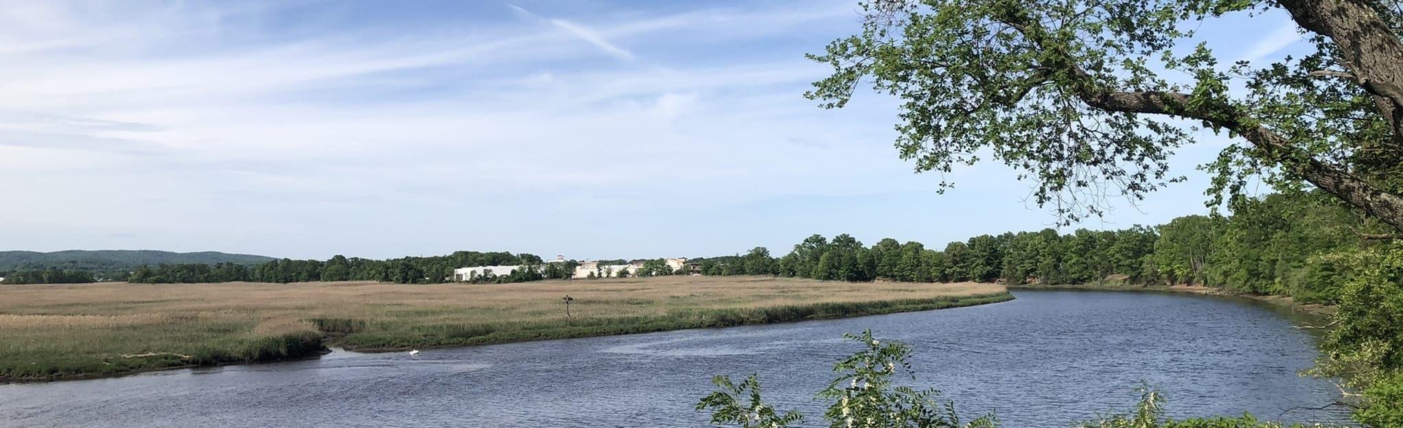 Tidal Marsh Trail: 291 Reviews, Map - Connecticut | AllTrails