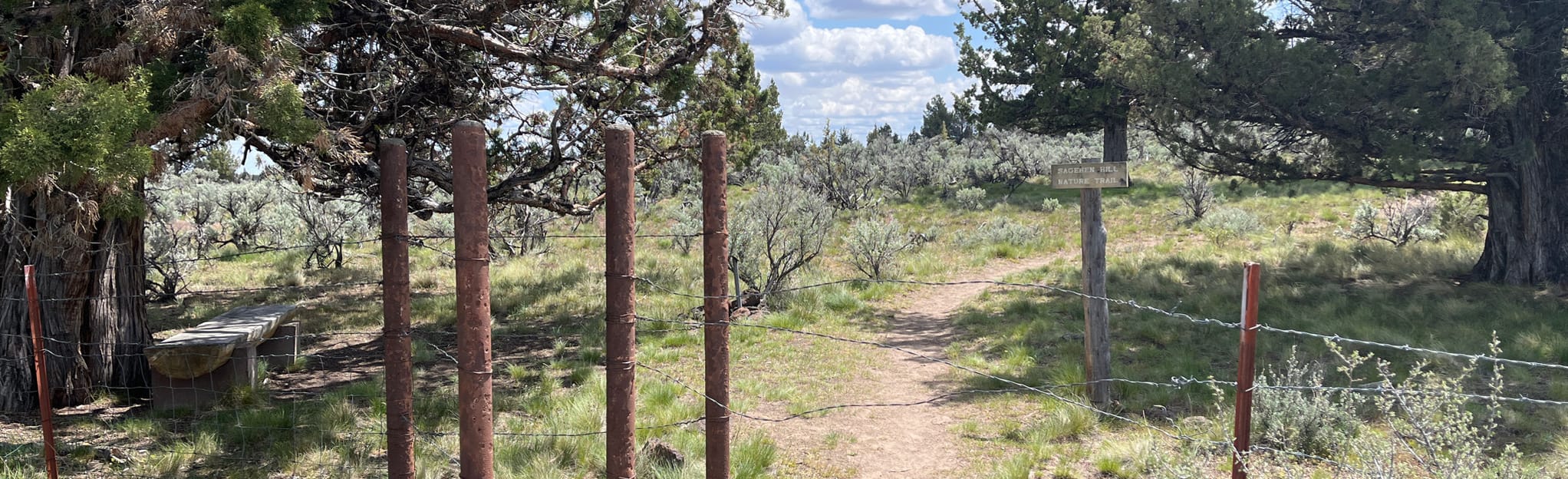 Sagehen Hill Nature Trail, Oregon - 16 Reviews, Map | AllTrails