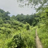 Avalon Loop Trail, Maryland - 293 Reviews, Map | AllTrails