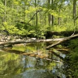 Avalon Loop Trail, Maryland - 293 Reviews, Map | AllTrails