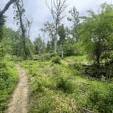 Avalon Loop Trail, Maryland - 293 Reviews, Map | AllTrails