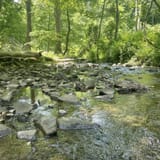 Avalon Loop Trail, Maryland - 293 Reviews, Map | AllTrails