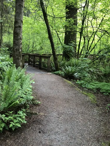 2023 Best 10 Trails and Hikes in Surrey | AllTrails
