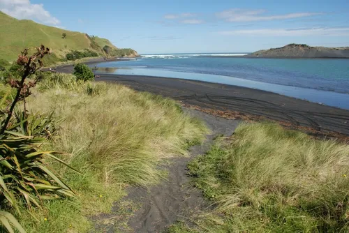 Best River Trails in Te Anga | AllTrails
