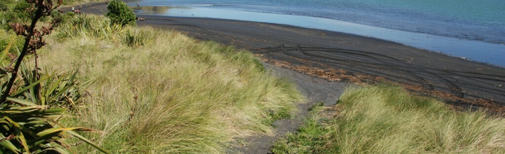 Marokopa Loop Walk, Waikato, New Zealand - Map, Guide | AllTrails