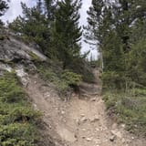 Exshaw Mountain, Alberta, Canada - 135 Reviews, Map | AllTrails