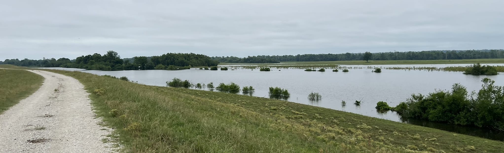 Lake Bruin Path: 5 Reviews, Map - Louisiana | AllTrails