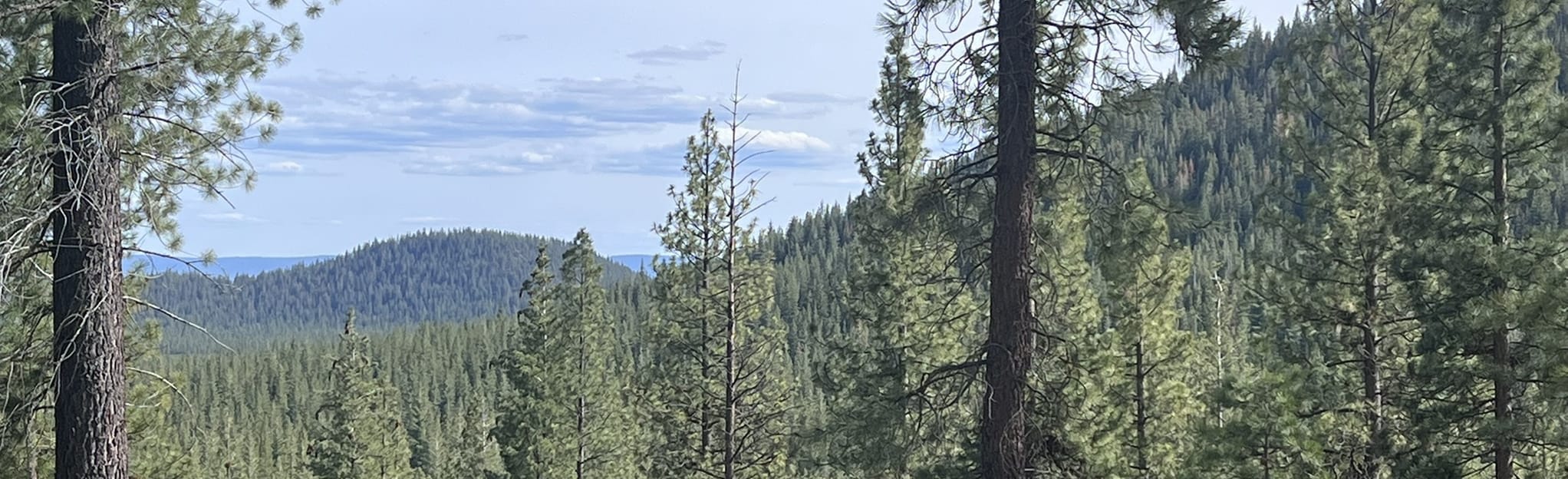 Wright Butte: 9 Reviews, Map - Oregon | AllTrails