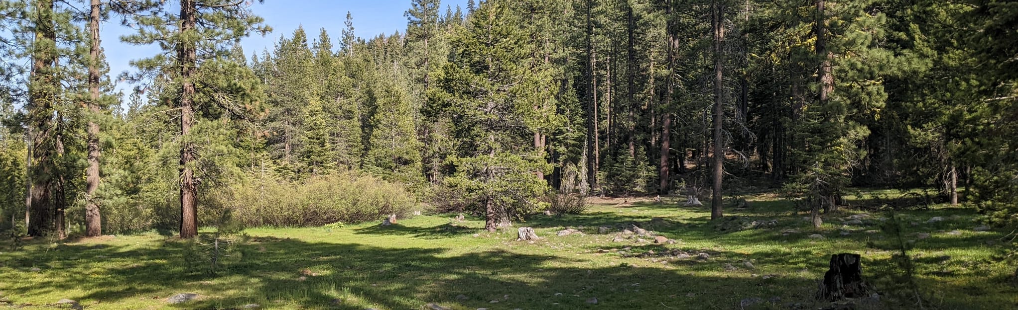 El Burro and Donkeytown Loop: 443 Reviews, Map - California | AllTrails