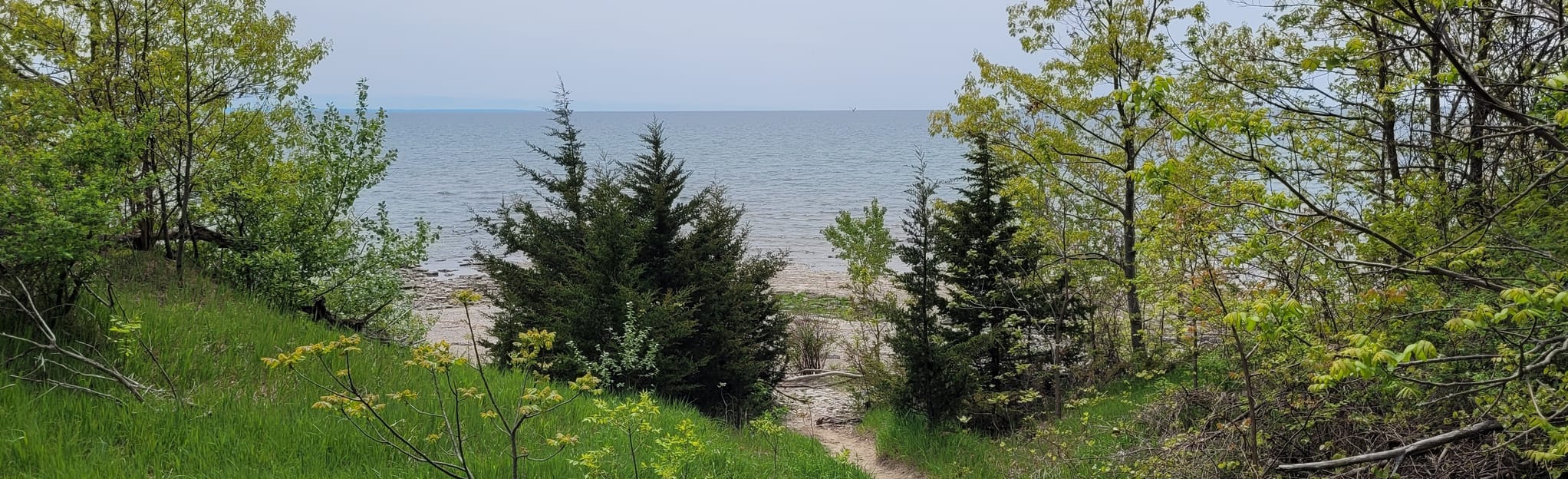 Monarch Trail via Dune Trail: 16 Reviews, Map - Ontario, Canada | AllTrails