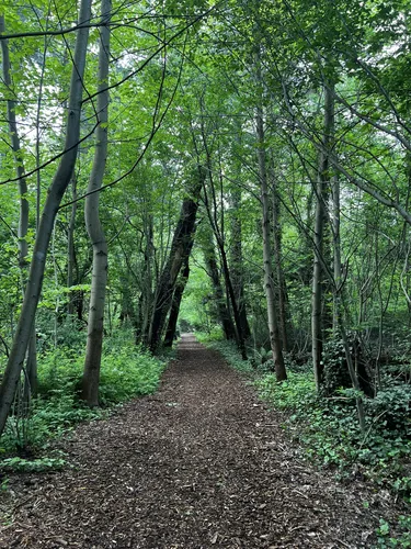 Best Hikes and Trails in Kings Point Park | AllTrails